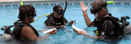 PADI ADVANCED Diving Courses with Dressel Divers