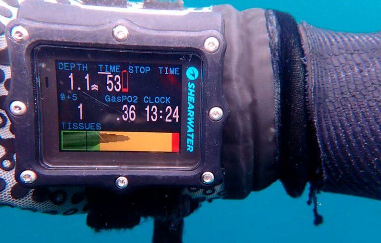Dive Computer: Everything You Have Ever Wondered About It
