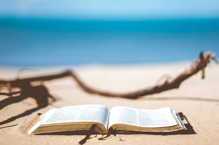 45 Diving Books and Scuba Adventures in the Ocean | Dressel Divers