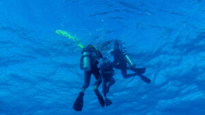 Diving Markers, How Do We Use a Divers Buoy Properly?