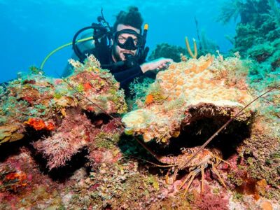 30 Years of PADI Scuba diving in Montego Bay with Dressel