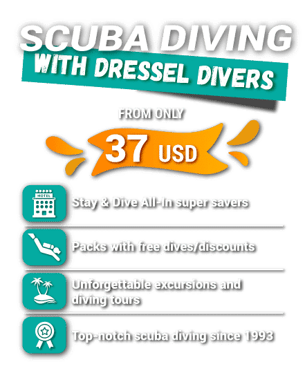 SDI & PADI SCUBA DIVING with Dressel Divers | 20% OFF