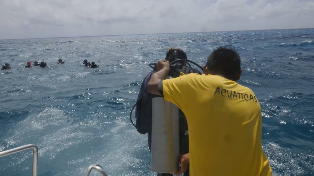 Giant Stride Entry: How to Do A Perfect Scuba Diving Entry?