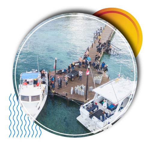Good Scuba Diving: What It Is and How to Recognize It | Dressel Divers