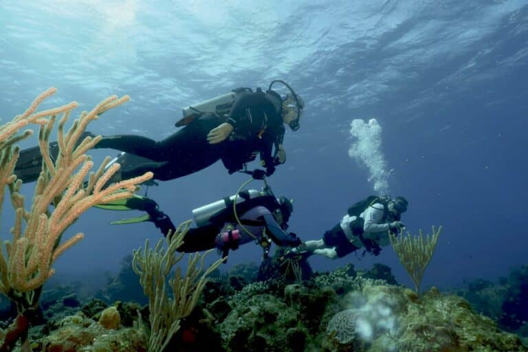 Cómo Bucear Mejor | Tu Guía Para Comenzar