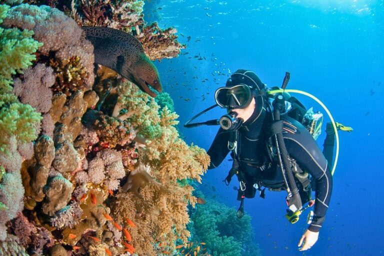 Master Scuba Diver: What This Elite Level Really Means