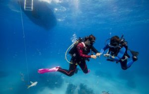 Los 7 Mejores Consejos De Buceo Que Siempre Quisiste Saber