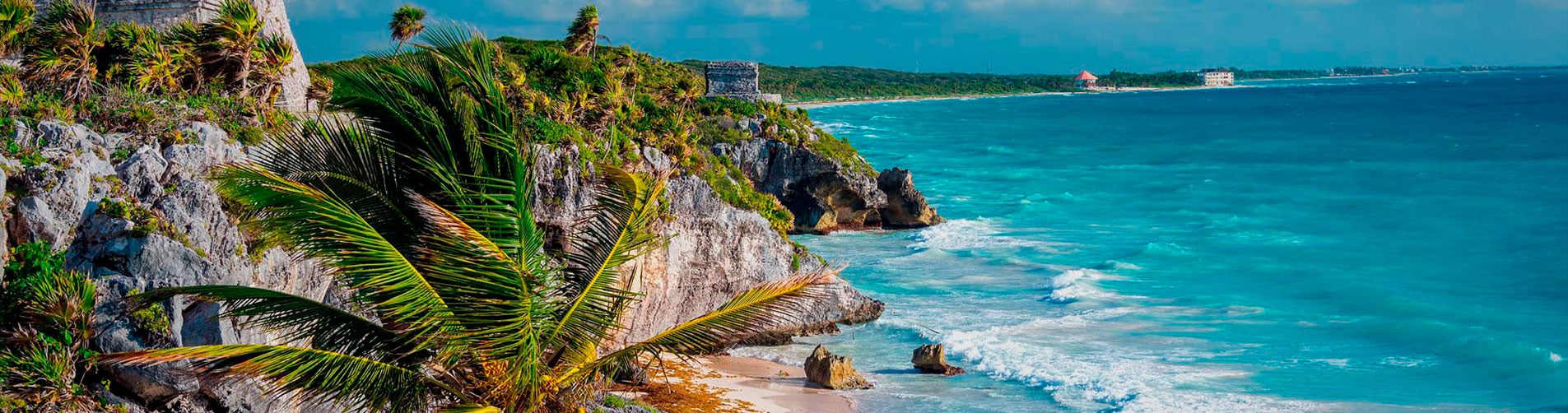 Scuba Diving in MEXICO with Dressel Divers