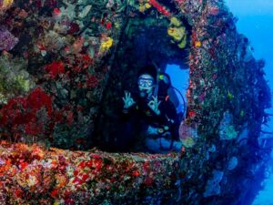 SDI & PADI Scuba diving in Playa del Carmen with Dressel