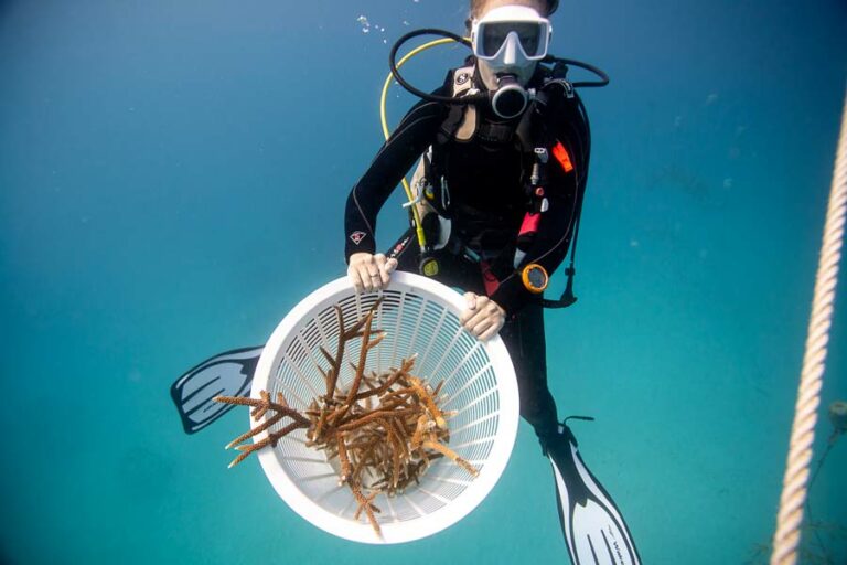 13 Quotes to Protect the Ocean And Help Stop Ocean Pollution