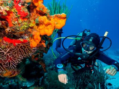 30 Years of PADI Scuba diving in Puerto Aventuras with Dressel