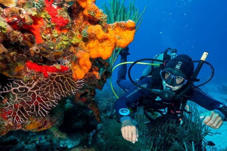 Recreational Diving: A Complete Guide | Dressel Divers