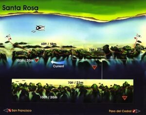 Santa Rosa Wall, Everything a Diver Needs to Know About It