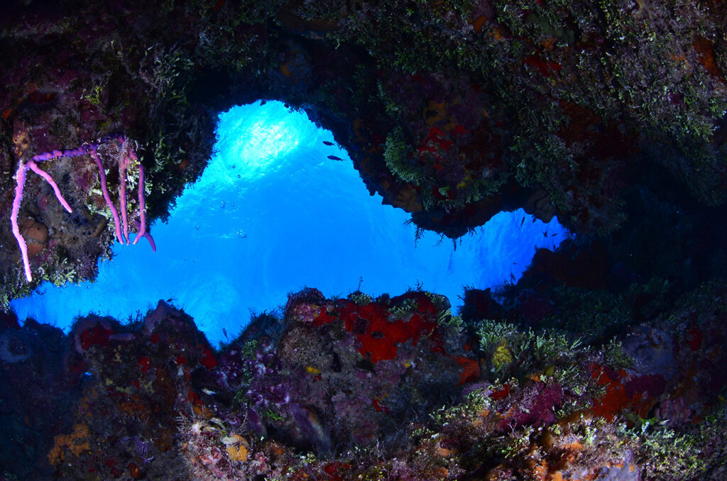 Santa Rosa Wall, Everything a Diver Needs to Know About It