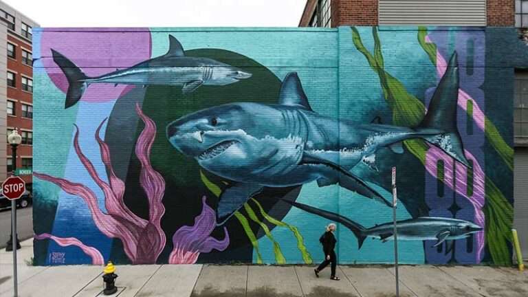 SCUBA Diving Art: Scuba-Inspired Artwork and Underwater Art