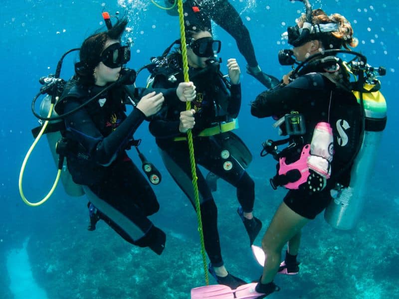 Scuba Diving Ascent Rate | Tips for a Perfect Scuba Ascent