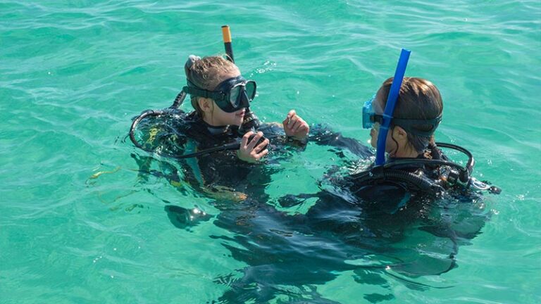 Scuba Diving Camps: Underwater Adventures for Your Kids