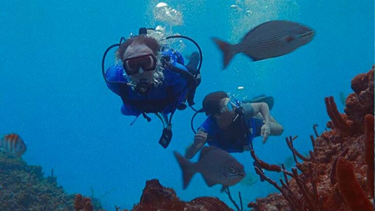 20 Scuba Diving Celebrities: Discover Which Famous are Scuba Divers