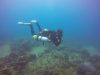 12 Scuba Diving Certification Levels From Beginners To Professional