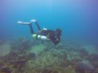 12 Scuba Diving Certification Levels From Beginners To Professional