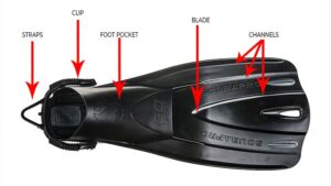 Scuba Diving Fins: How to Choose Yours & Tips BY Our Experts