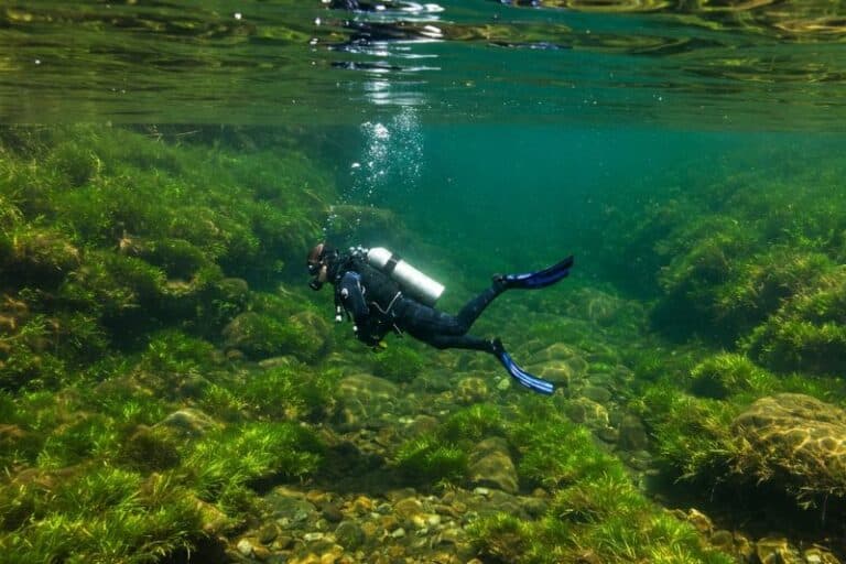River Diving or What It's Like to Dive in Freshwater with Current