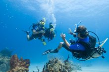 10 Scuba Diving Rules You Should Know If You Are A Beginner