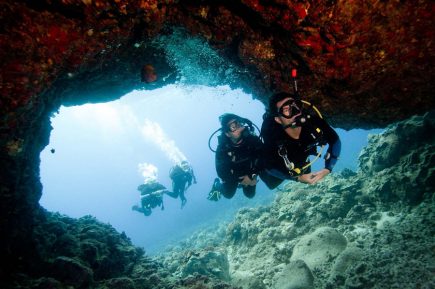 40 Scuba Diving Terms to Speak As a Pro - Dressel Divers
