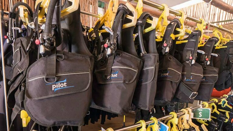 What is the Best Scuba Diving Vest for You? Buying Guide | Dressel Divers