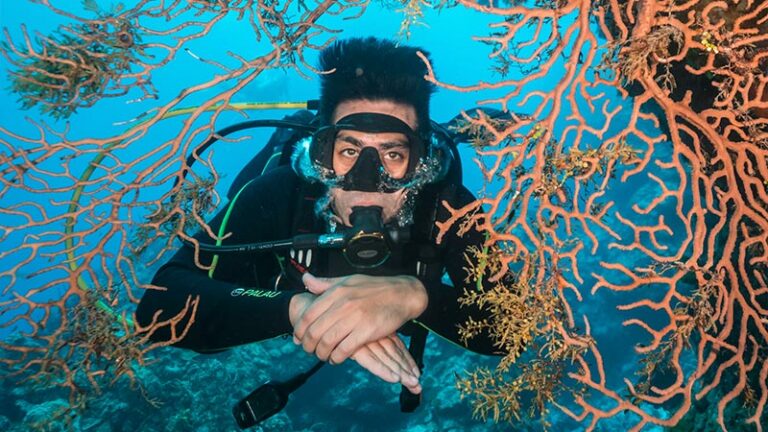 Scuba Test: A, B, or C - How Skilled Of a Diver Are You?