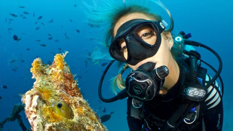 Scuba Test: A, B, or C - How Skilled Of a Diver Are You?