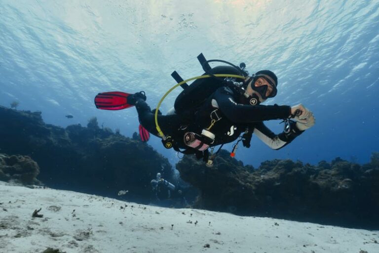 SDI certification: Is Scuba Diving International Worth It? | Dressel Divers