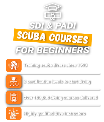 SDI & PADI Scuba Diving Courses FOR BEGINNERS