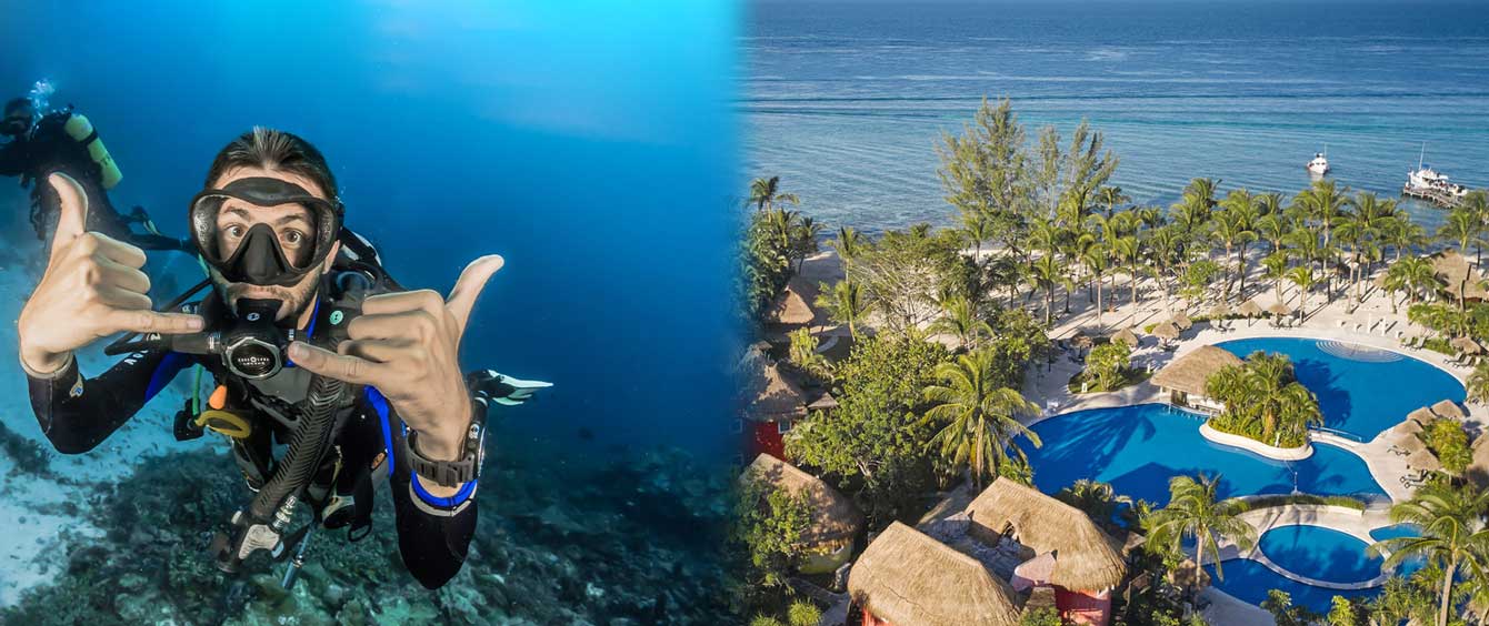 Quality DIVING & SNORKELING with Dressel Divers