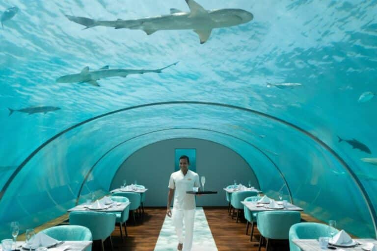 Underwater Tourism: Is the Future of Travel in the Depths?